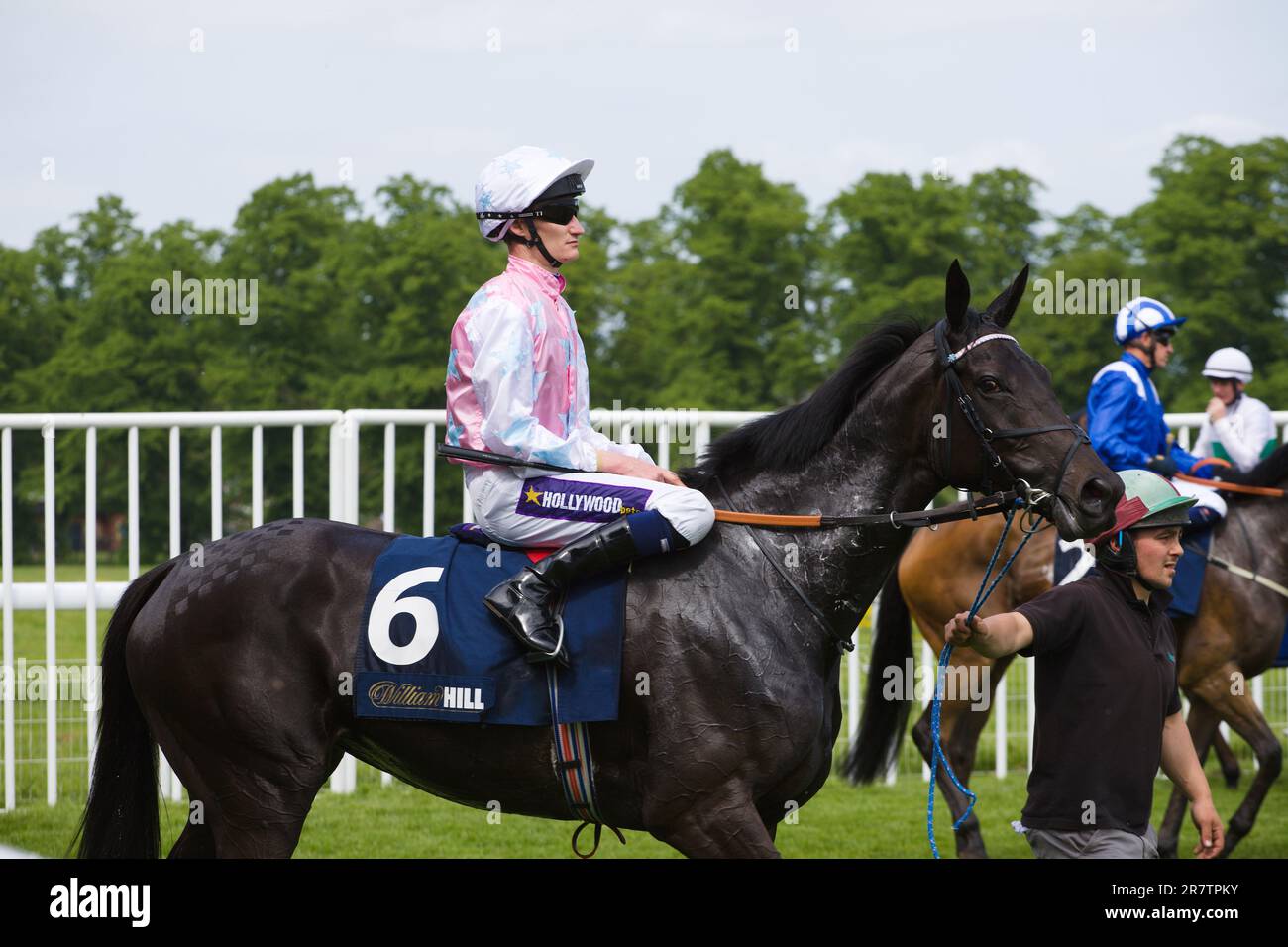 Jockey Daniel Muscutt on Sea Flawless at York Racecourse Stock Photo ...