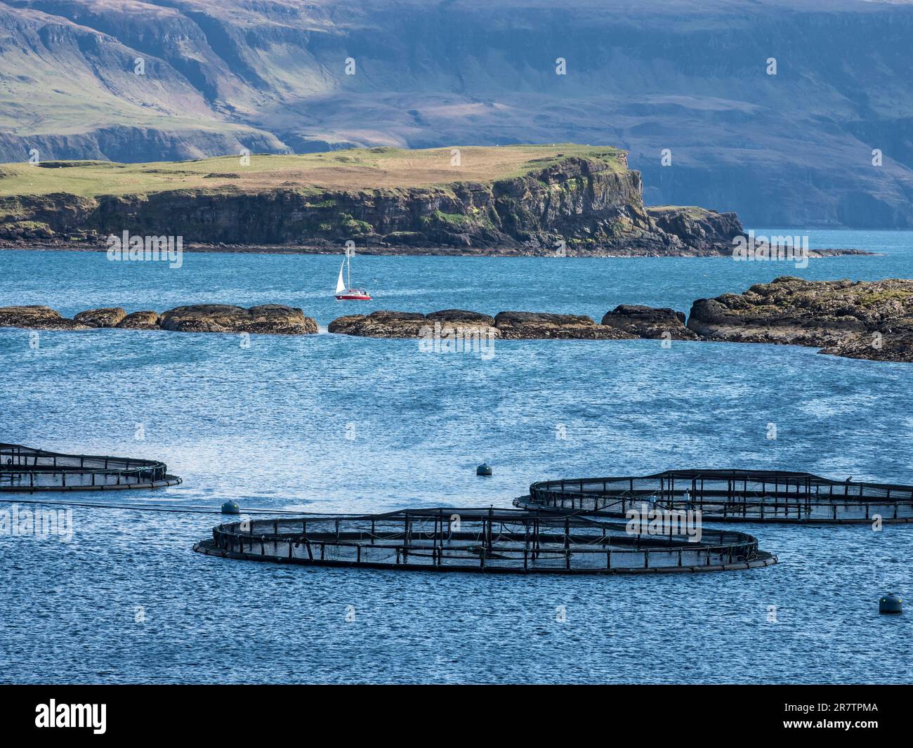 Single red sailing boat behind floating cages of a salmon farm, sea ...