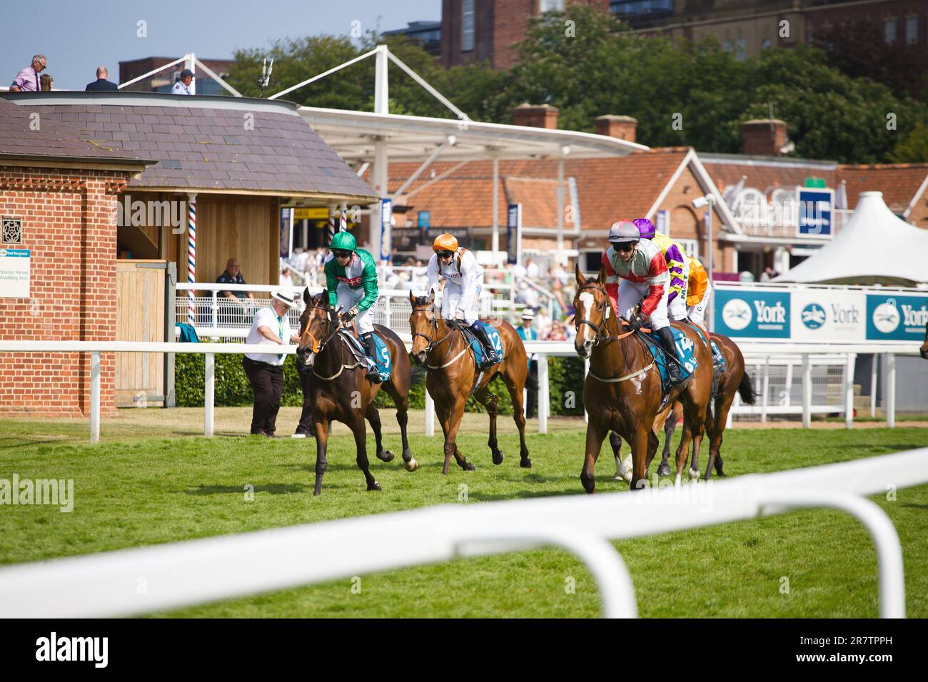 Jockeys and their horses galloping to slow down after finishing a race ...
