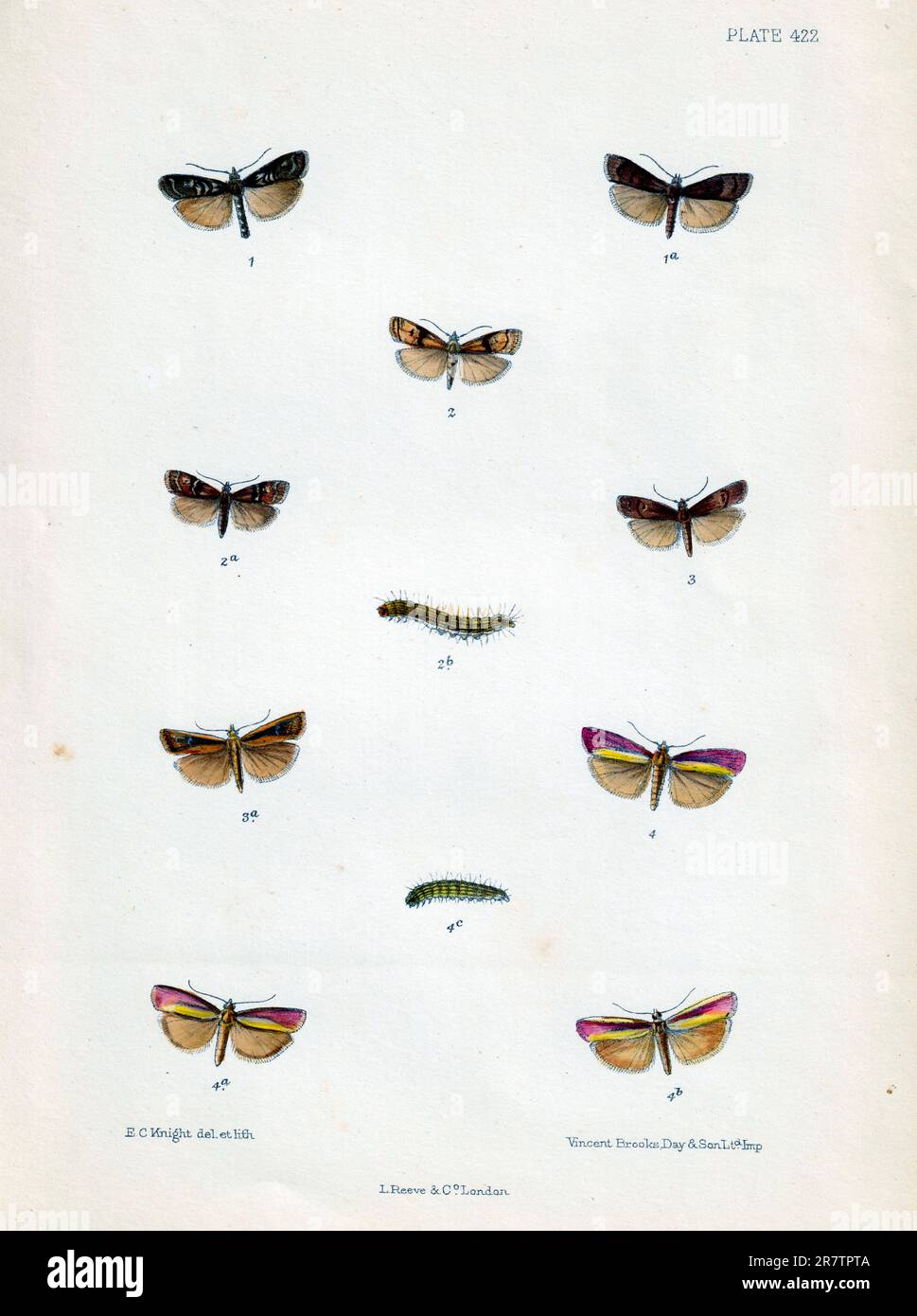 Charles golding barrett hi-res stock photography and images - Alamy