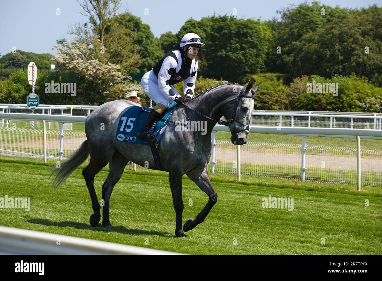 Elle may hi-res stock photography and images - Alamy