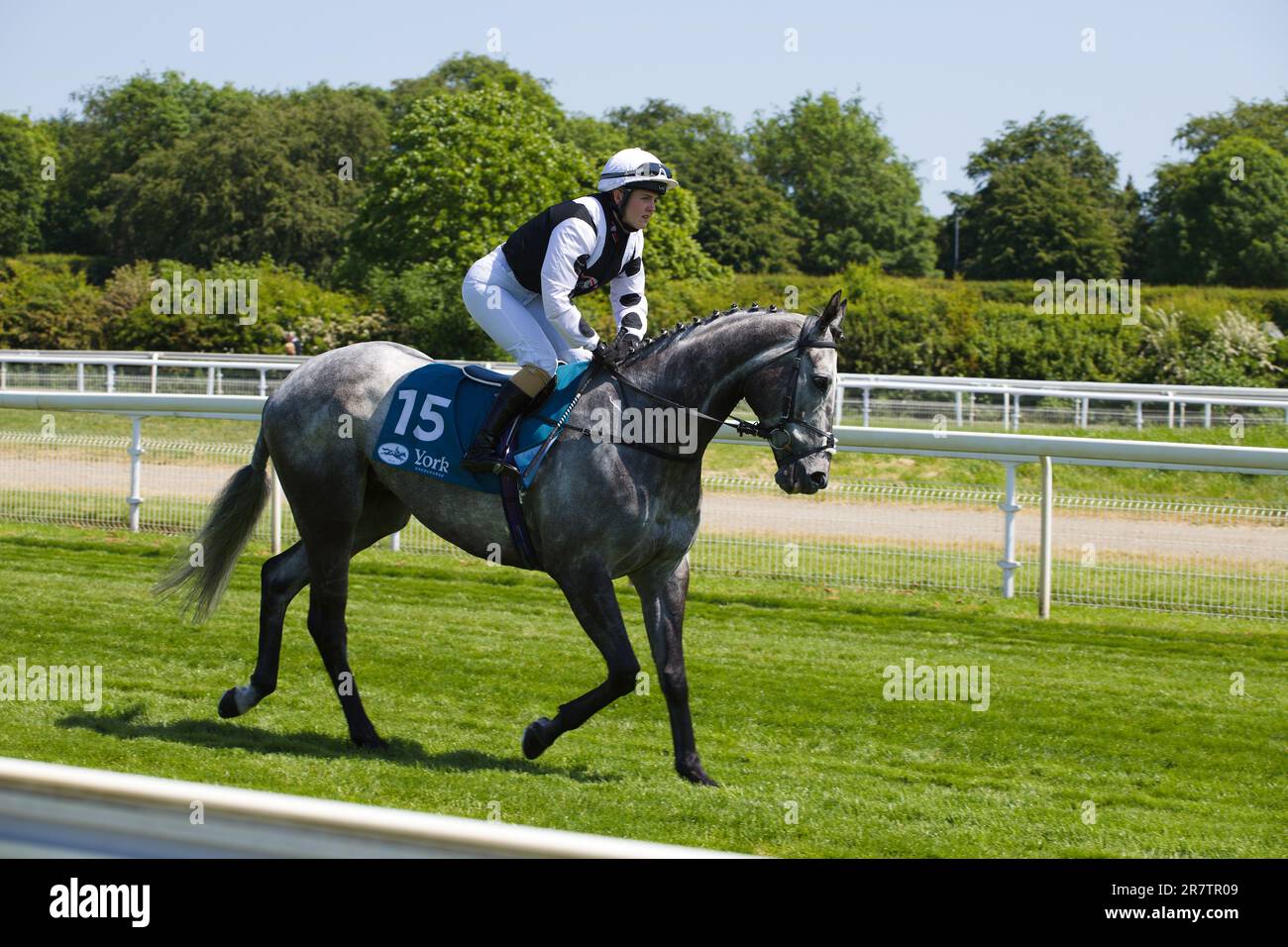 Elle may croot hi-res stock photography and images - Alamy