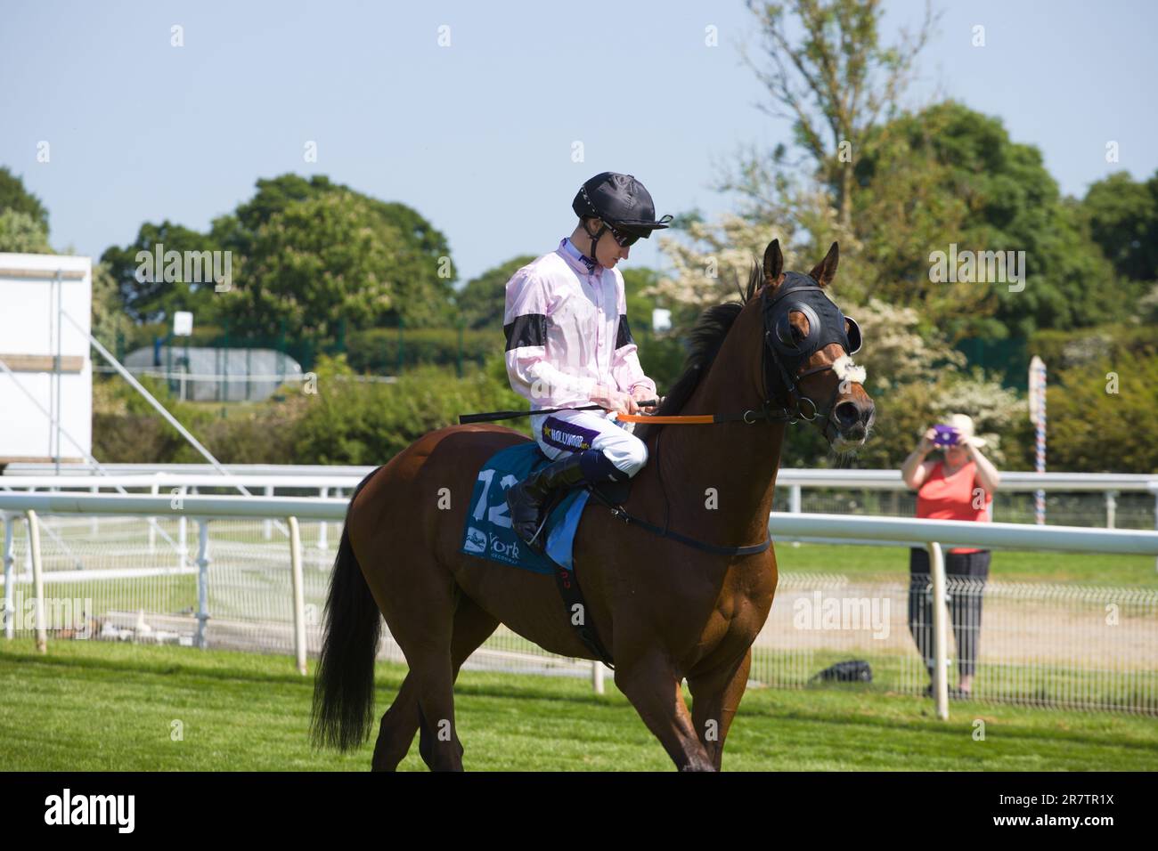 Jockey Daniel Muscutt on Intercessor at York Racecourse Stock Photo - Alamy