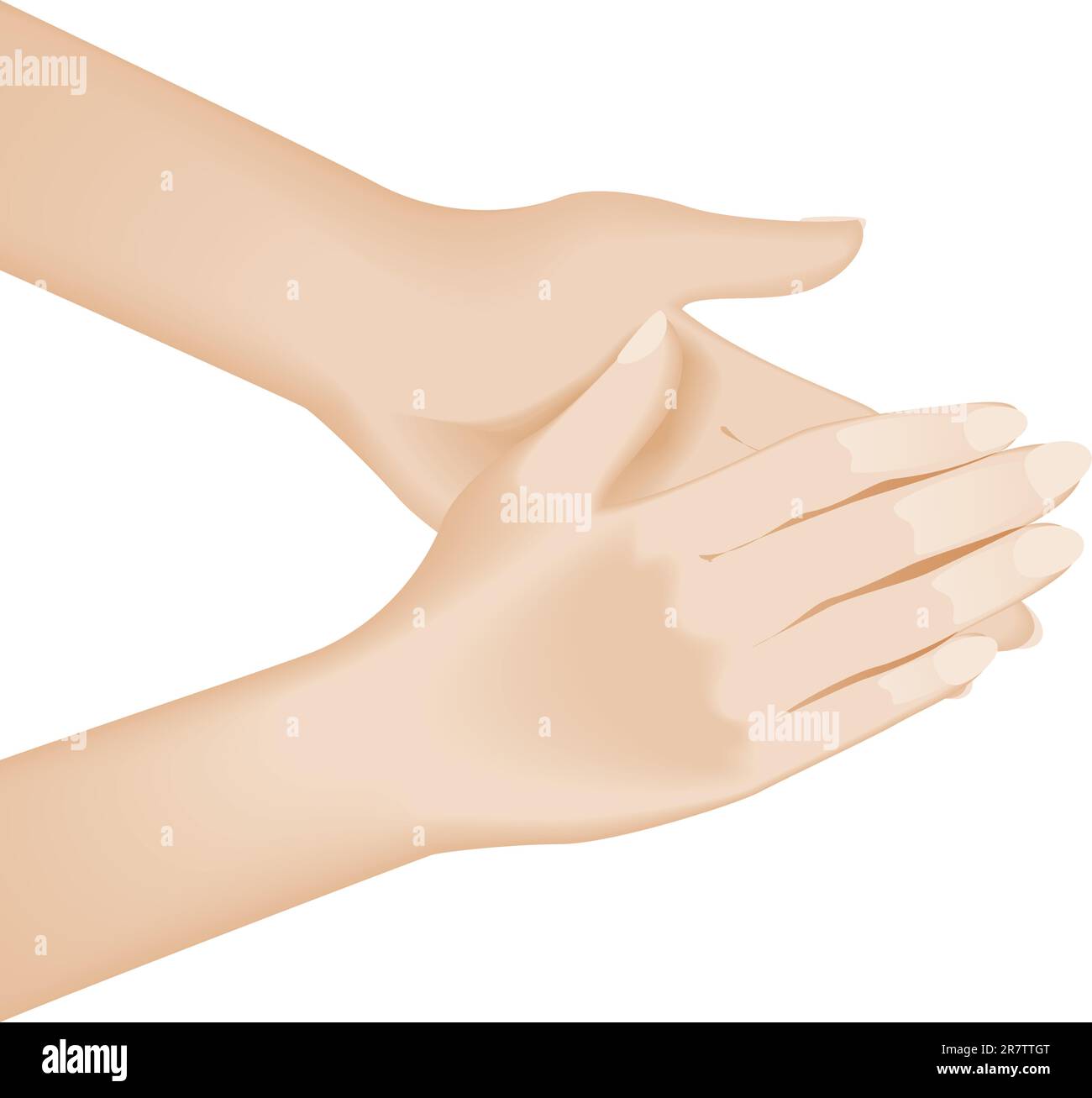 Hand washing. Illustration on white background for design Stock Vector ...