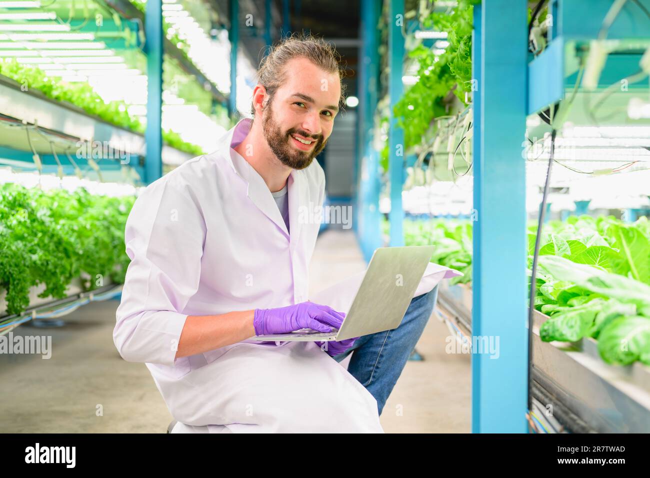 Greenhouse crop inspection hi-res stock photography and images - Alamy