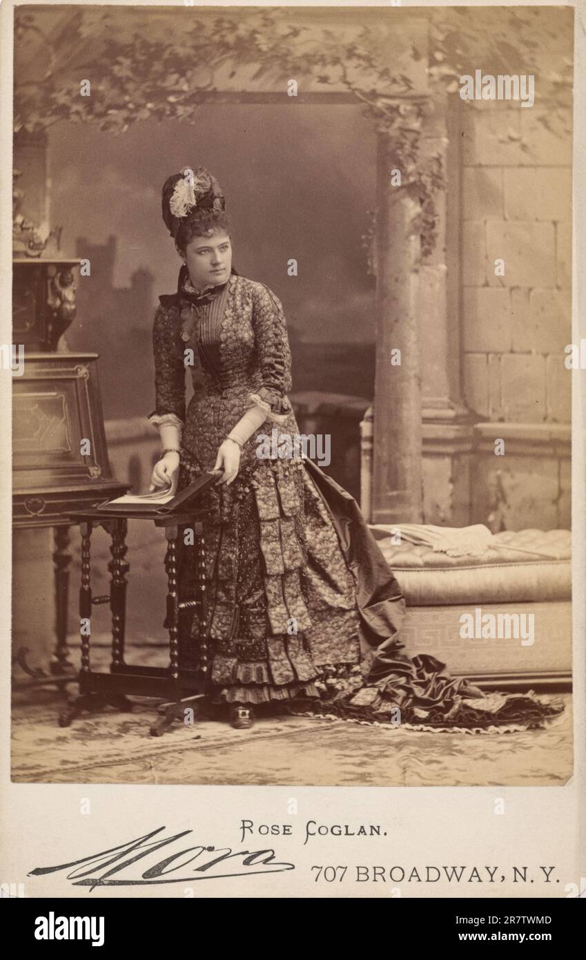 Divan rose hi-res stock photography and images - Alamy