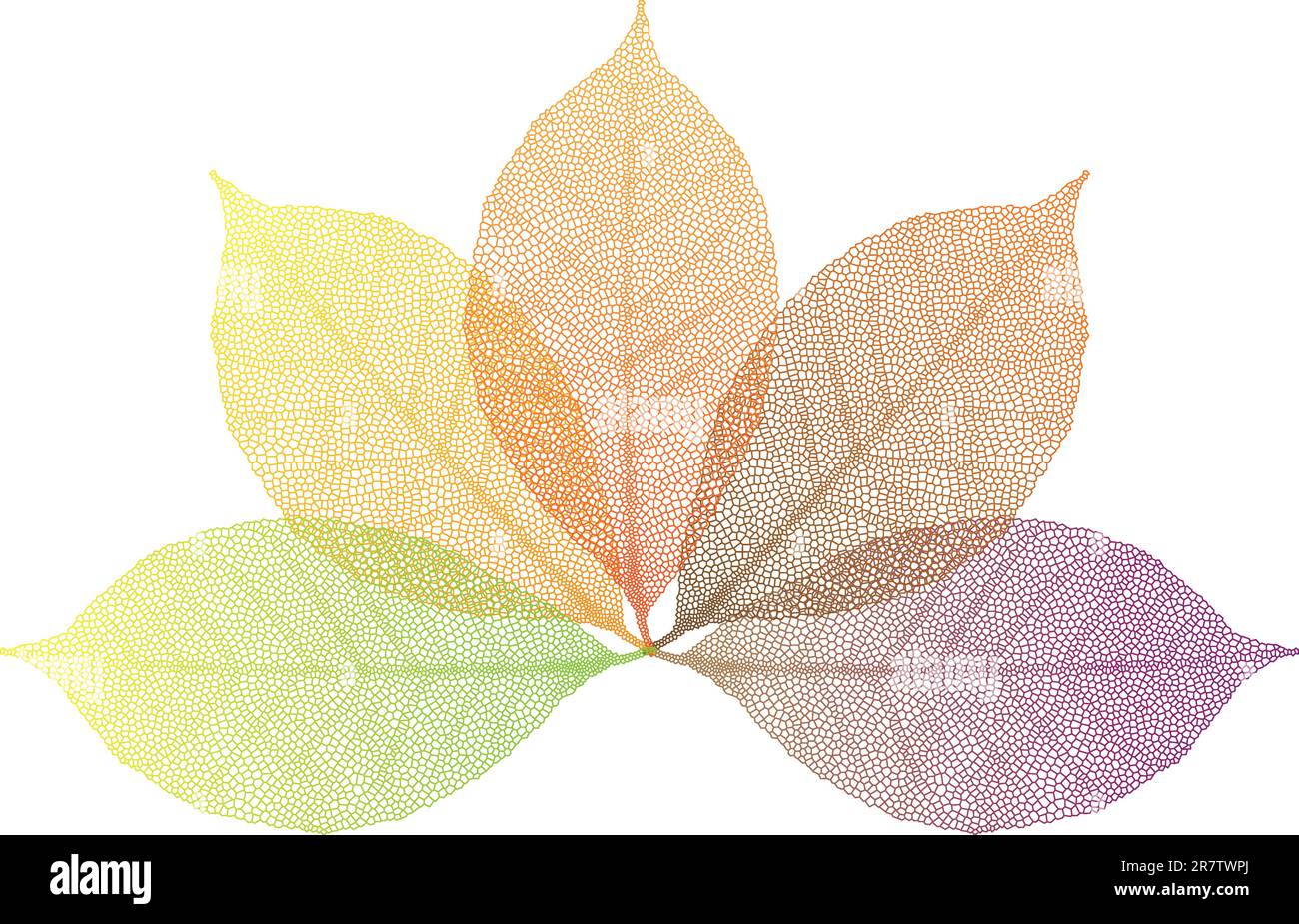 Autumn leaves vector set Cut Out Stock Images & Pictures - Alamy