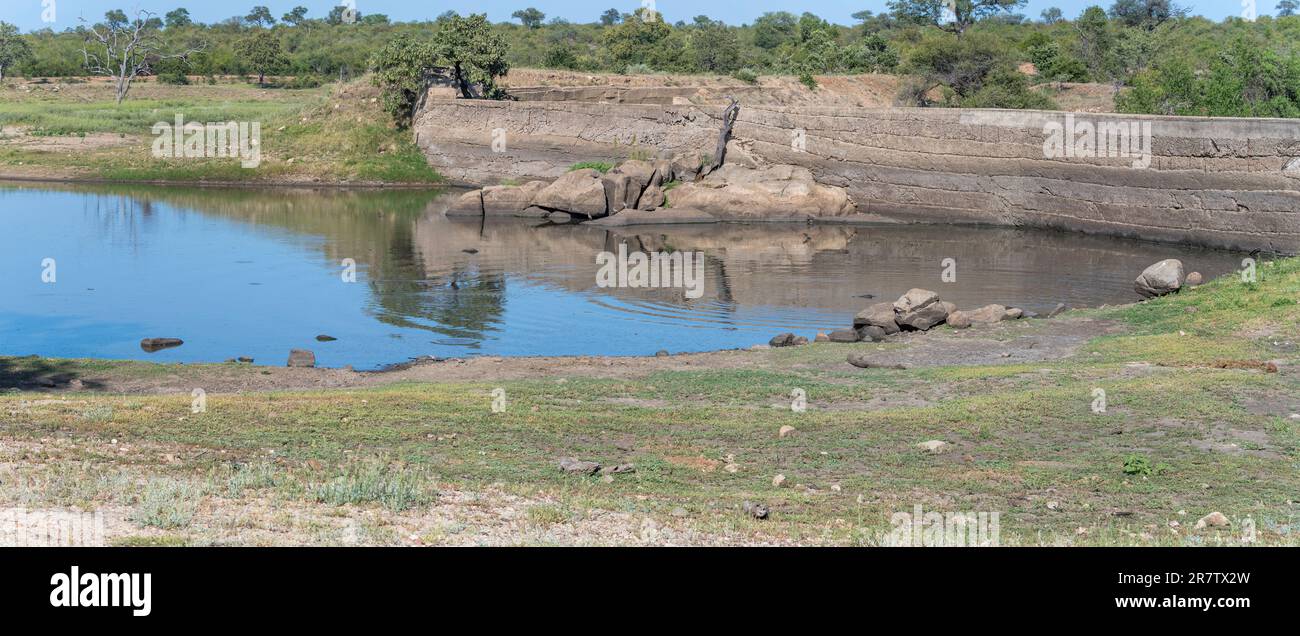 landscape with wildlife at lake dam in shrubland at green wild ...
