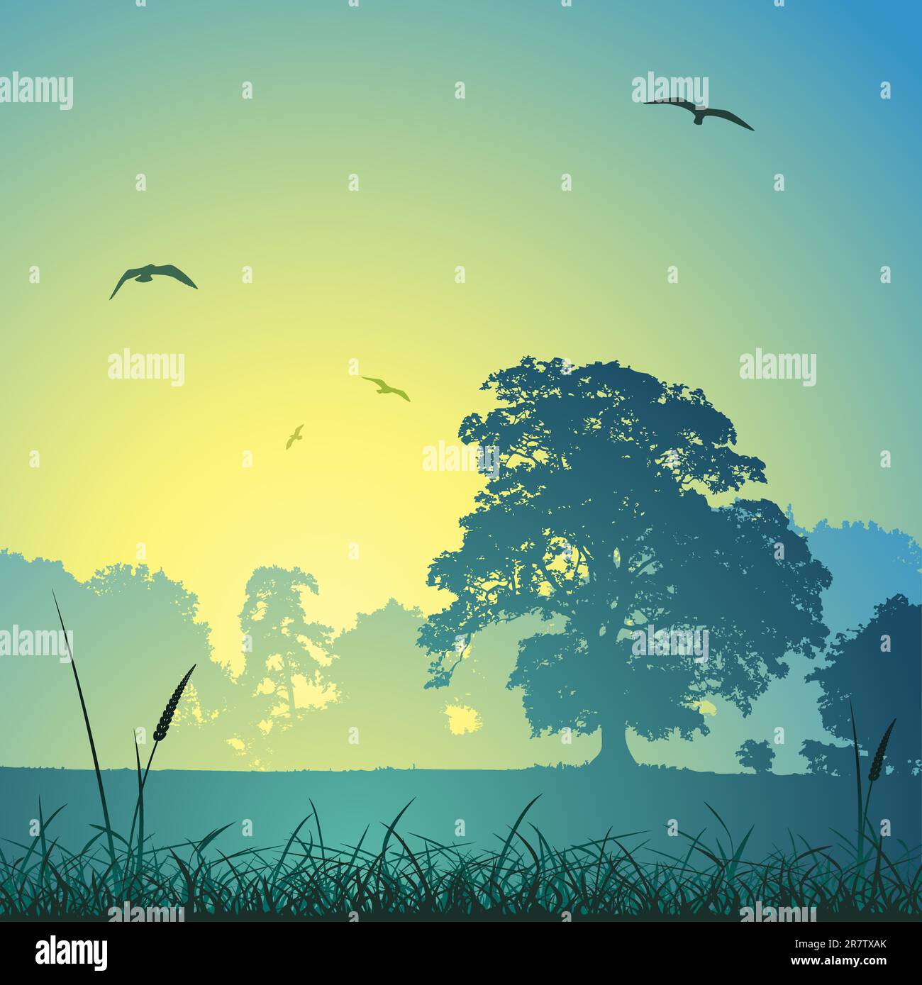 Trees woods mist Stock Vector Images - Alamy