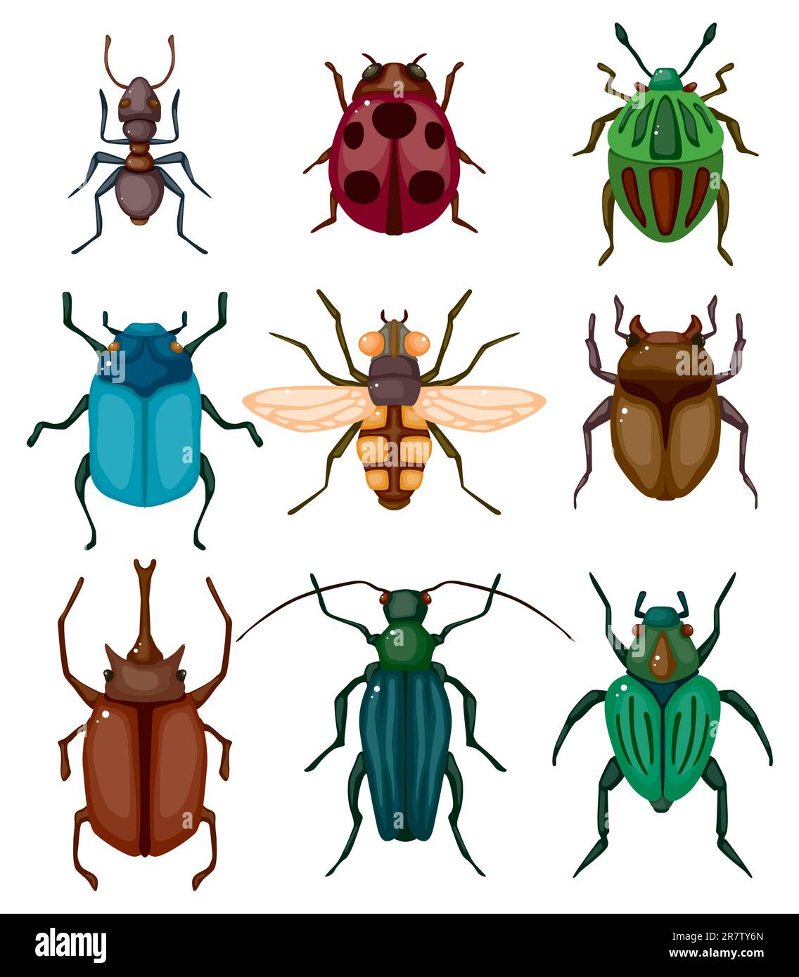 cartoon insect bug icon Stock Vector Image & Art - Alamy