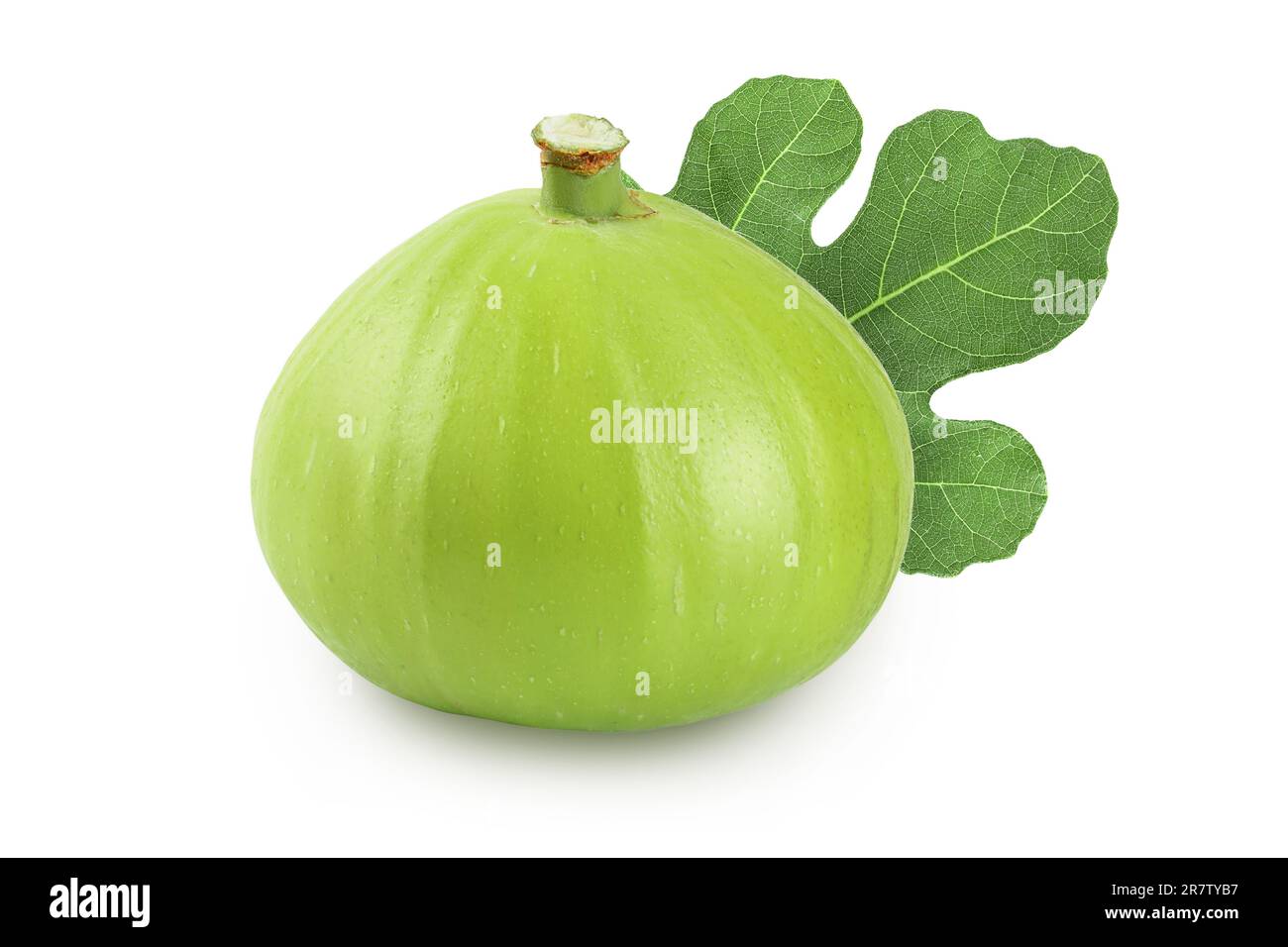 Ripe green fig fruit isolated on white background with full depth of ...