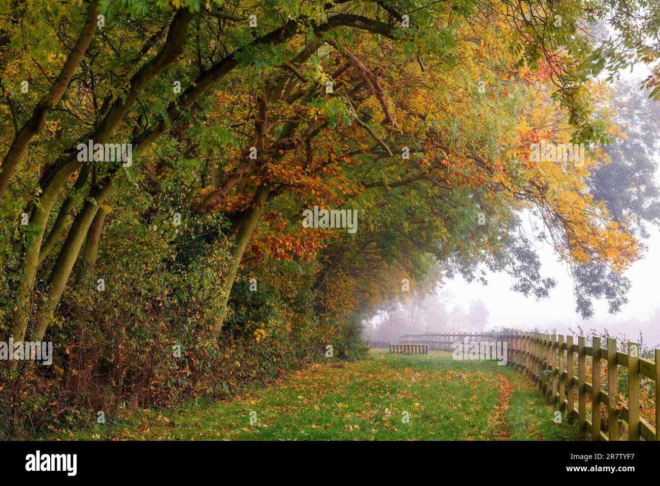 Capstone farm country park kent hi-res stock photography and images - Alamy