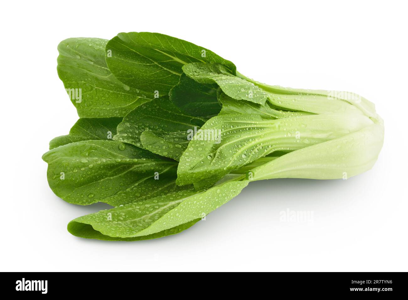 Fresh pak choi cabbage isolated on white background with full depth of ...