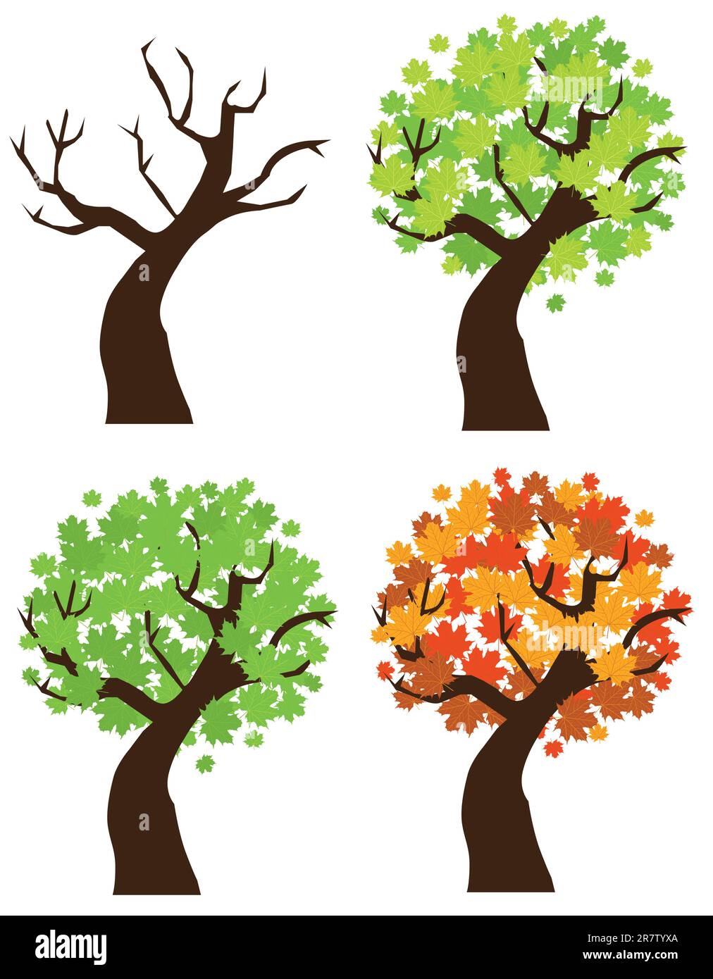 Vector illustration of maple trees Stock Vector Image & Art - Alamy