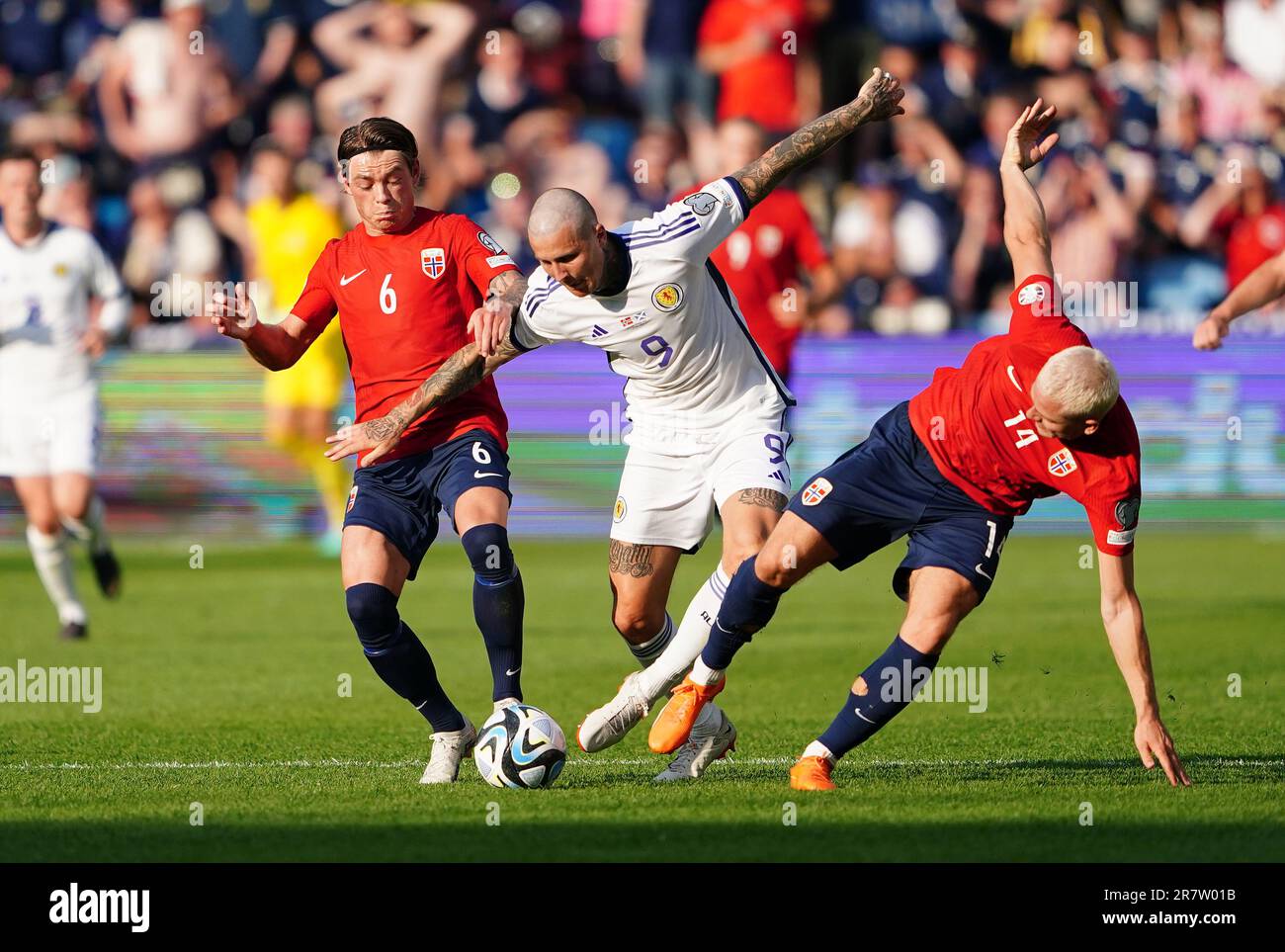Lyndon Dykes (centre) battles with Norway's Patrick Berg (left) and ...