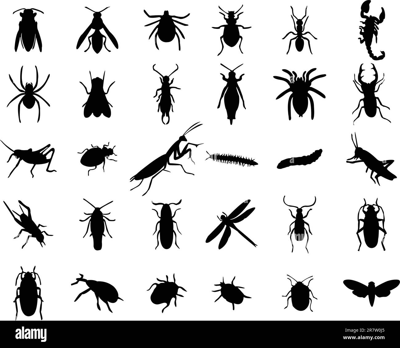 Set of bugs silhouette - vector Stock Vector Image & Art - Alamy