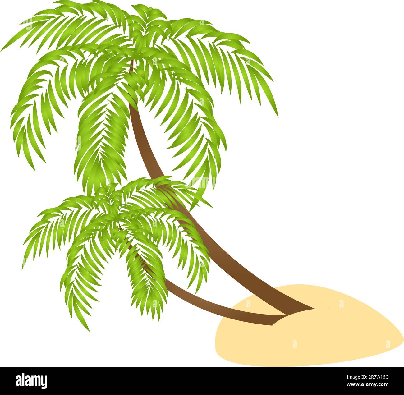 Two palms isolated on a white background. Vector illustration Stock ...