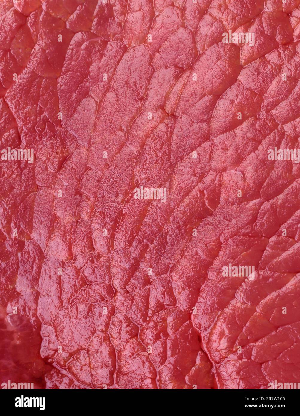 Raw beef eye steak round with salt, spices and herbs prepared for ...
