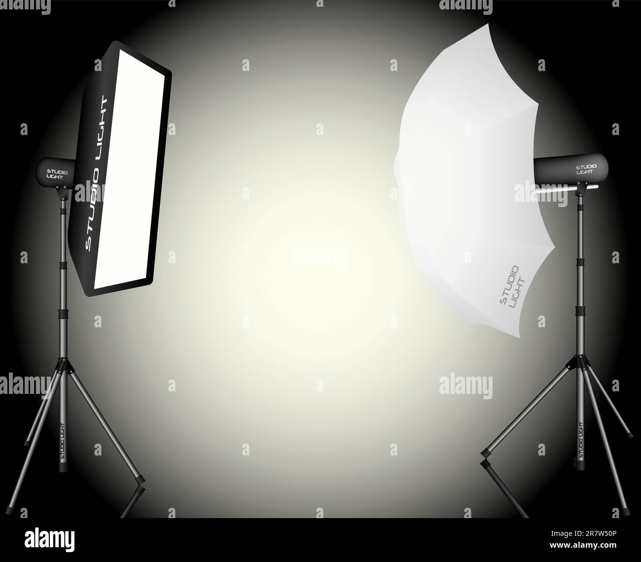 Photographic LIghting - Two Professional Studio Lights with Soft Box ...