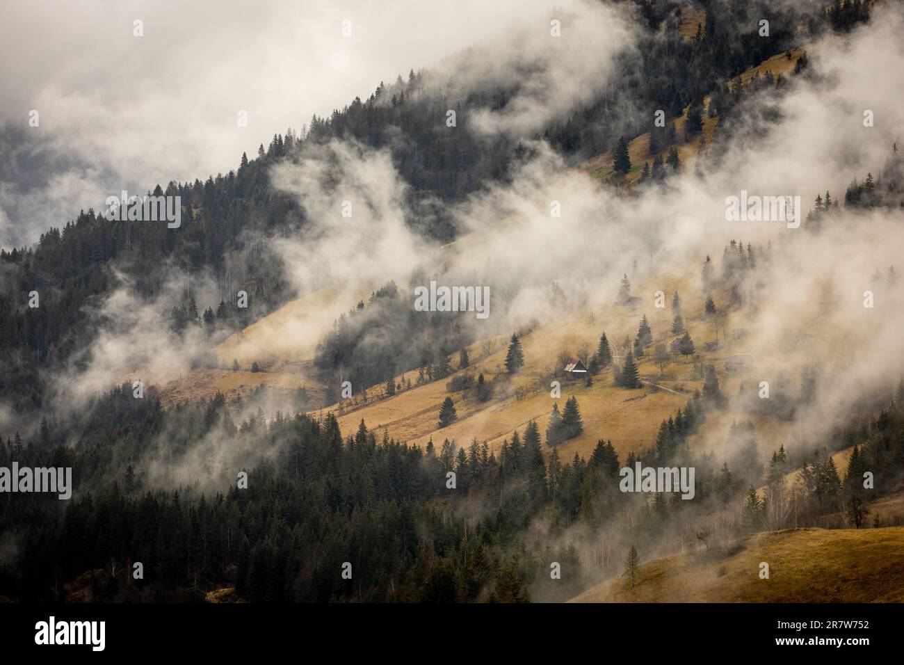 Remote rural scenery somewhere in the Carpathians with fog. Photo taken ...
