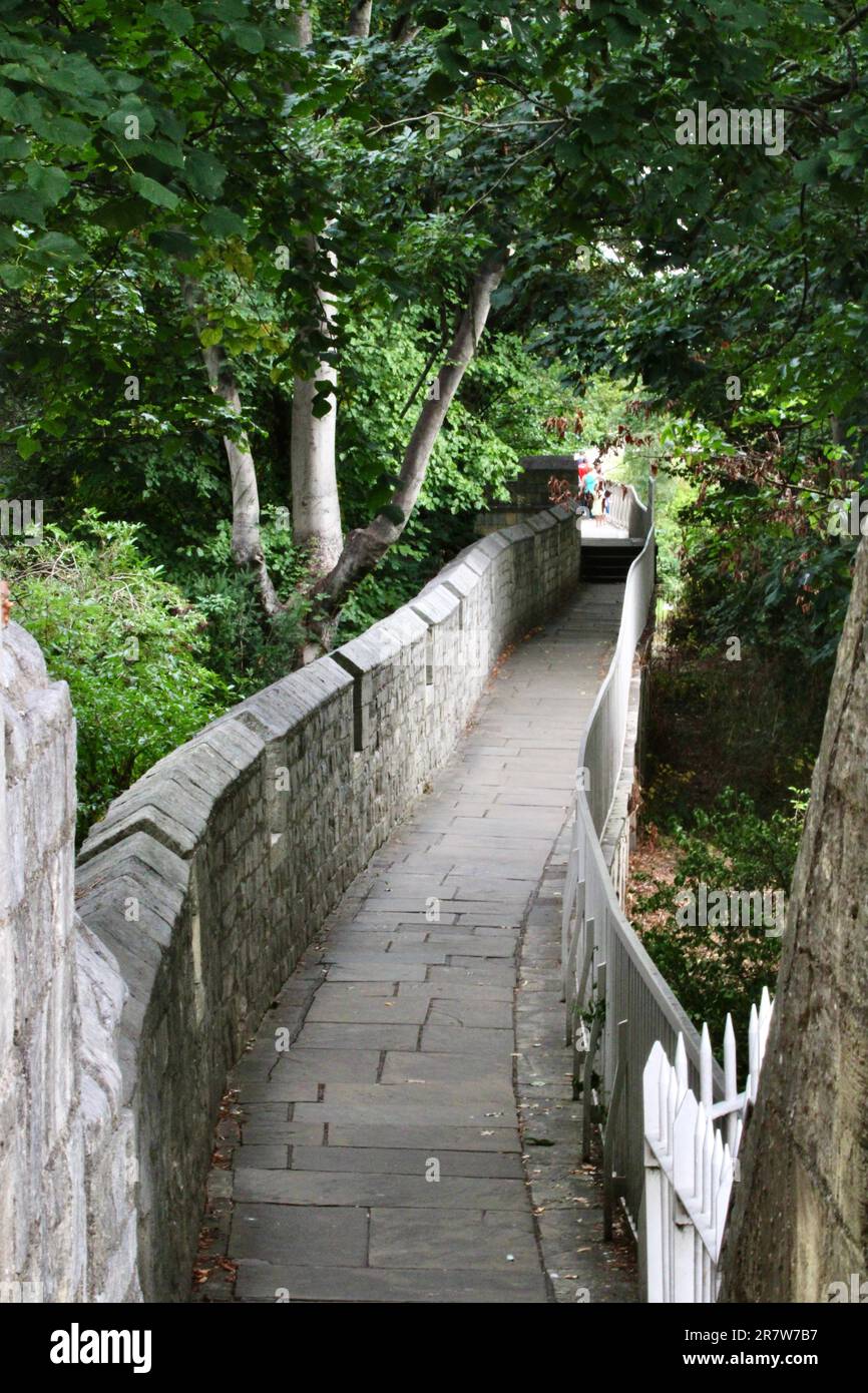 A pathway winds its way through a lush green landscape. York, England ...