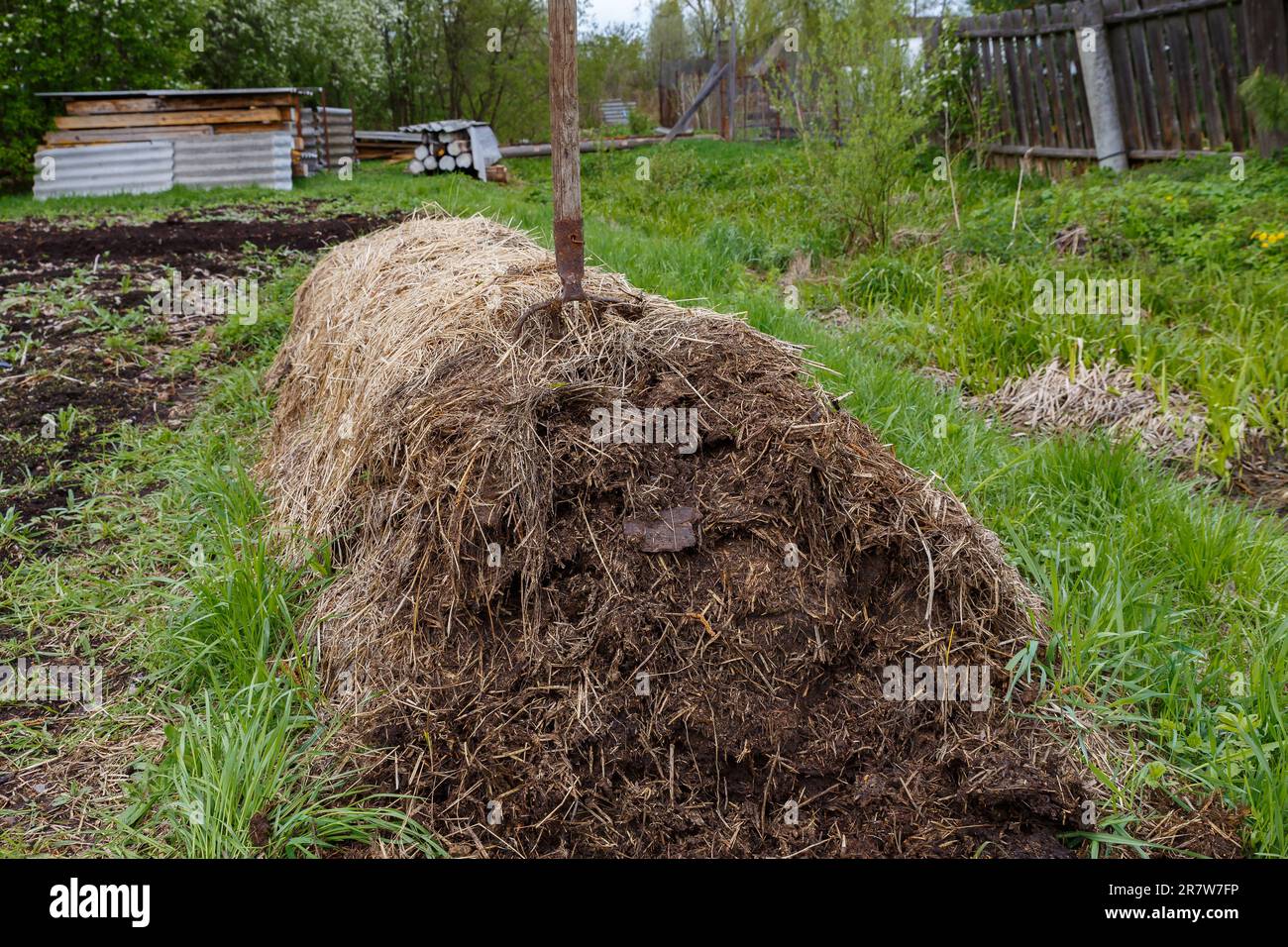 Large dung heap in the garden. Pitchfork stuck in straw with manure ...