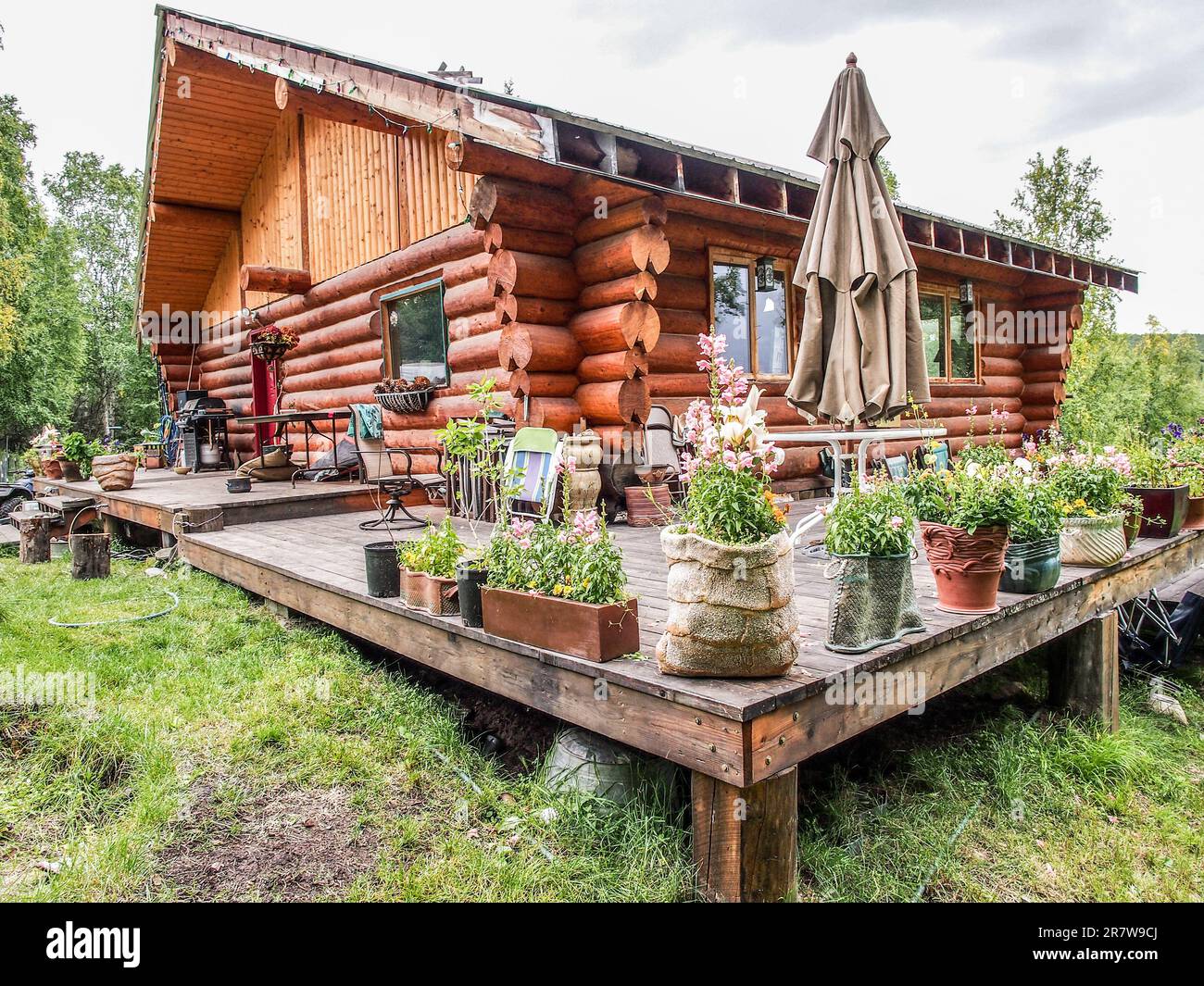 Traditional Alaska log cabin with a large deck lined with plants Stock ...