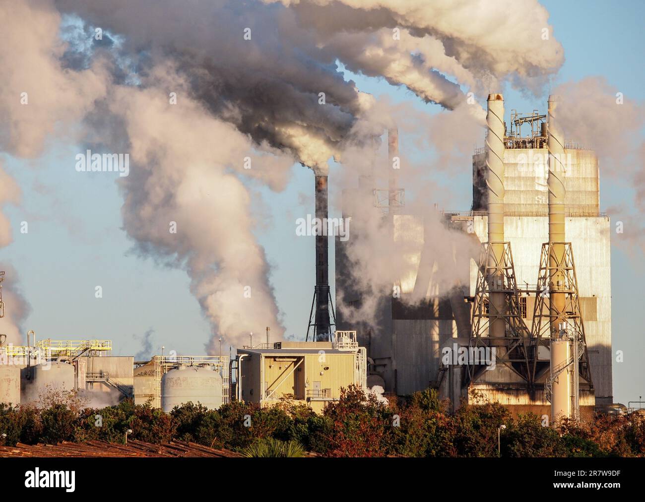 Smoke rising from the stacks of a paper mill in Florida Stock Photo - Alamy