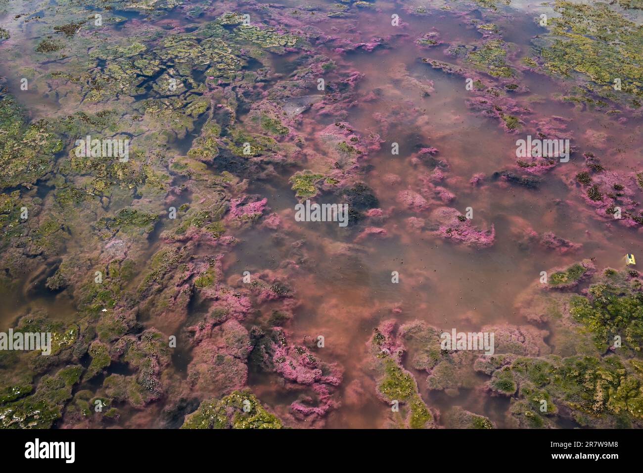 Environmental issues with the decrease in the water level due to global ...