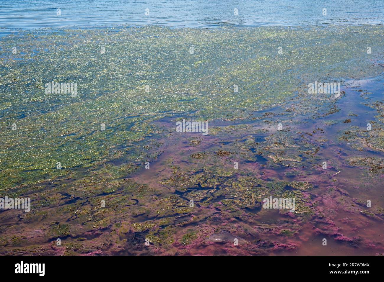 Environmental issues with the decrease in the water level due to global ...