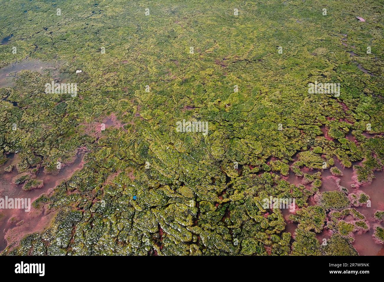 Environmental issues with the decrease in the water level due to global ...