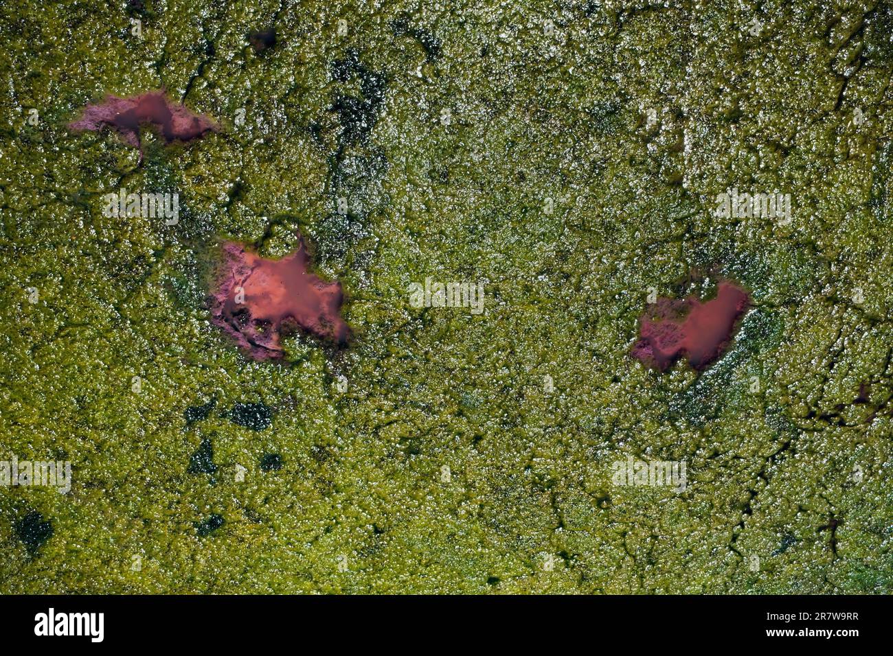 Environmental issues with the decrease in the water level due to global ...