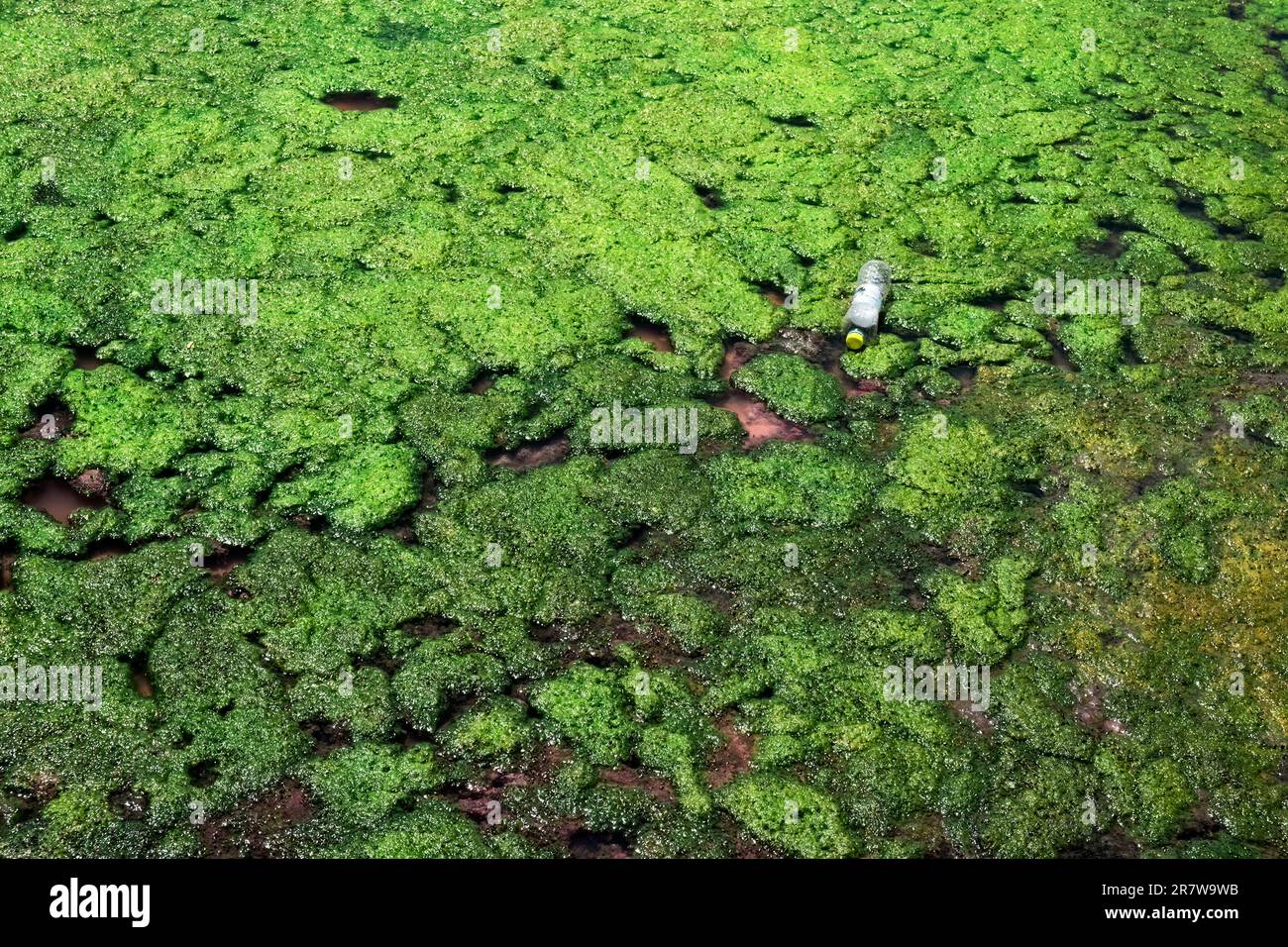 Environmental issues with the decrease in the water level due to global ...