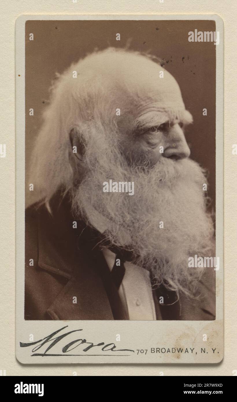 William Cullen Bryant c. 1870 Stock Photo - Alamy