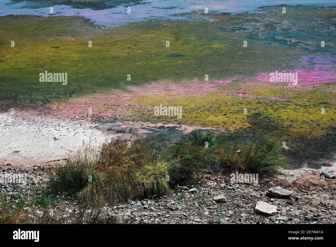 Environmental issues with the decrease in the water level due to global ...