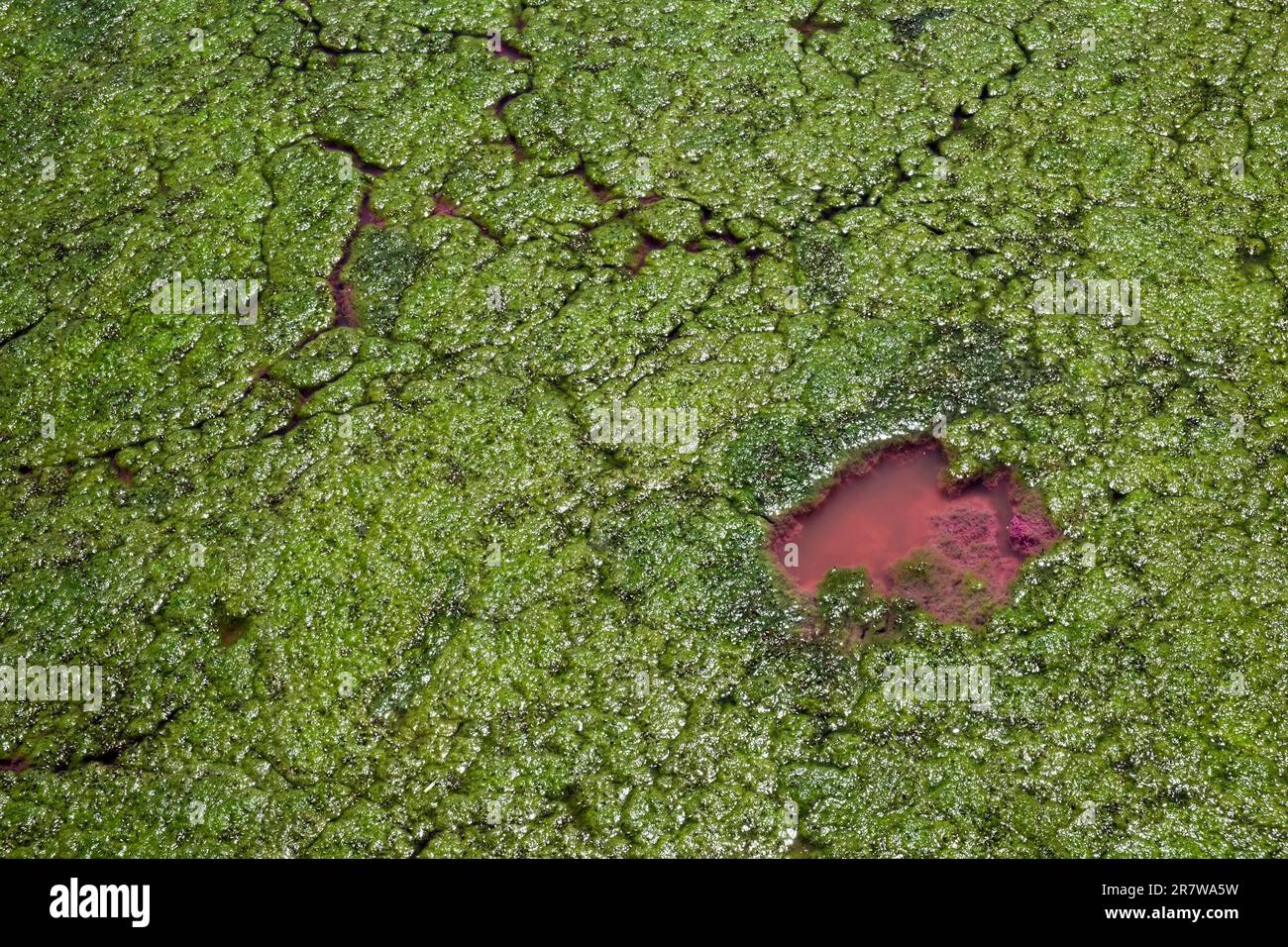 Environmental issues with the decrease in the water level due to global ...