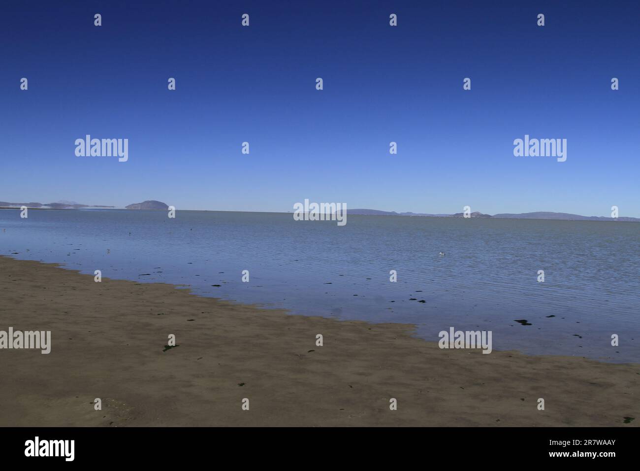 Lago Popo, Bolivia Stock Photo - Alamy