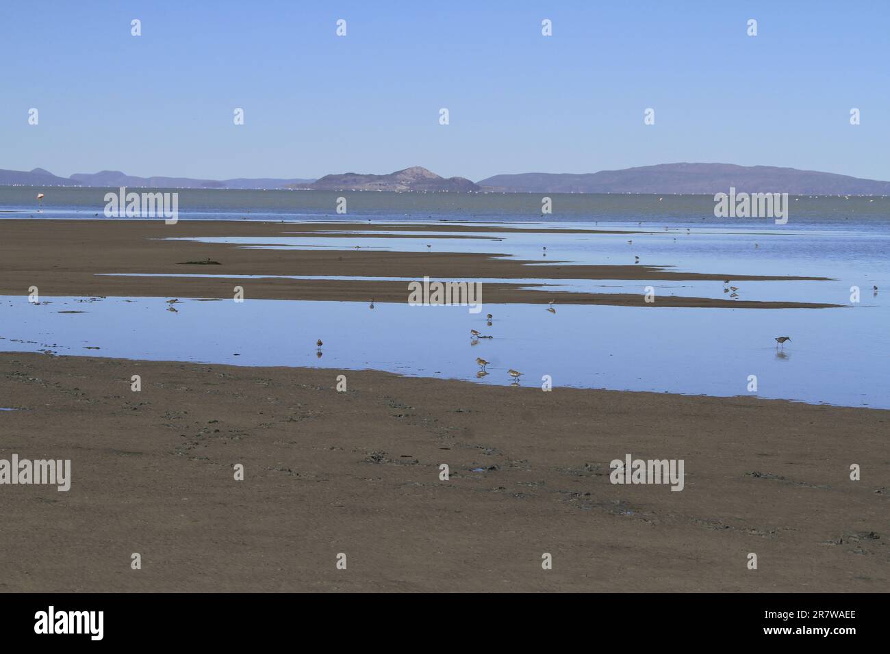 Lago Popo, Bolivia Stock Photo - Alamy