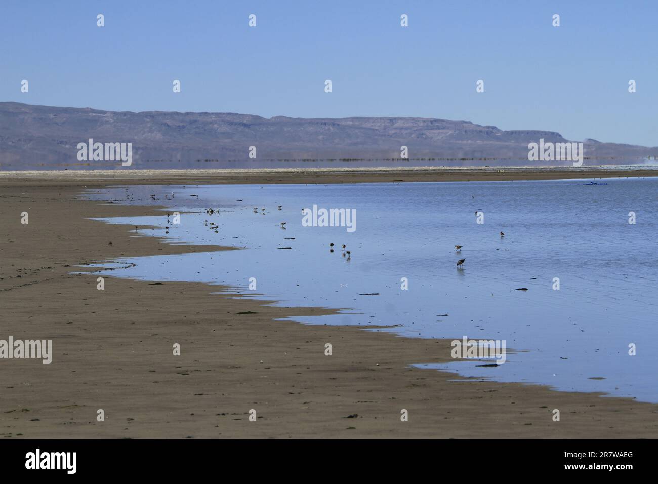 Lago Popo, Bolivia Stock Photo - Alamy