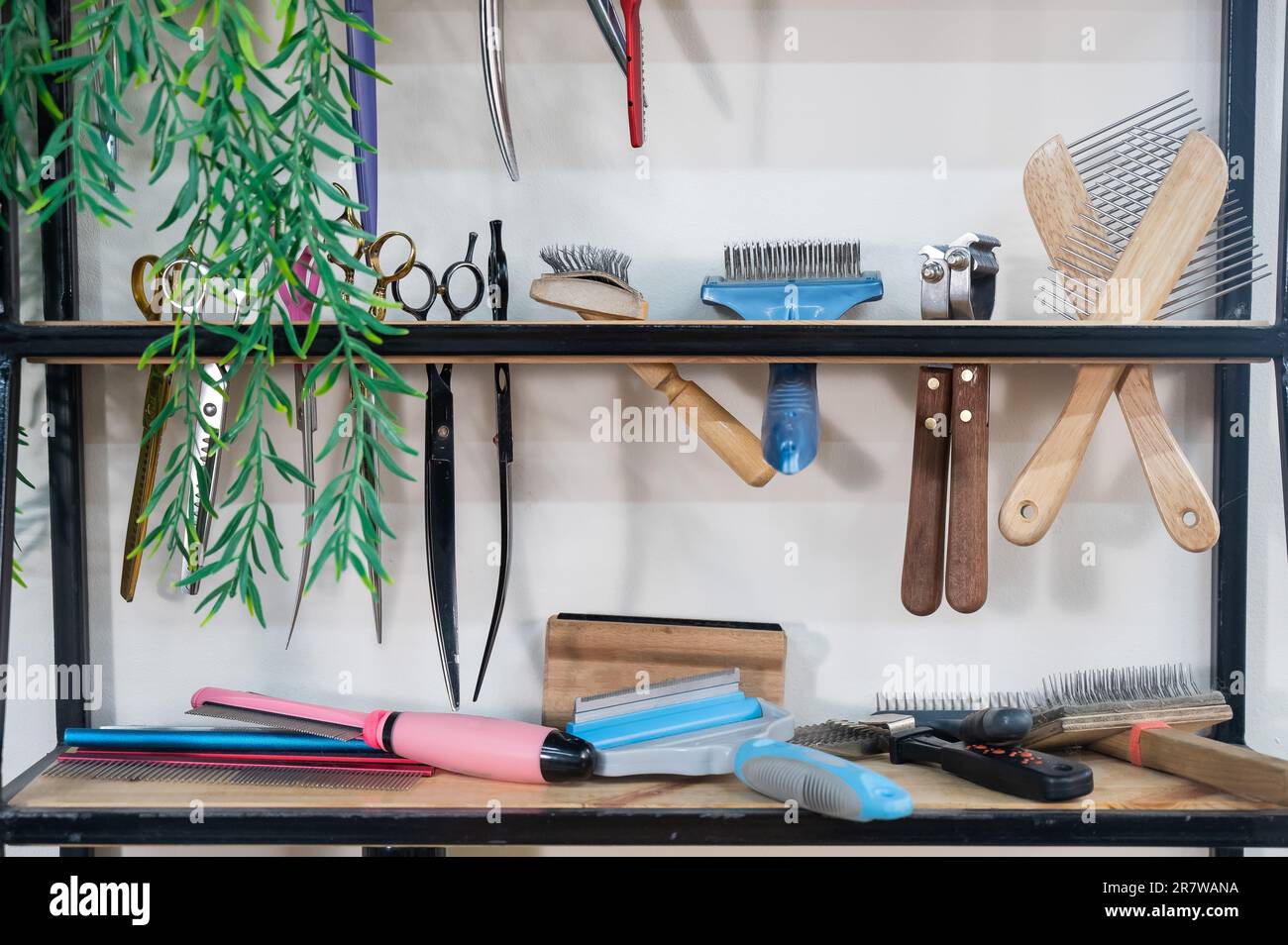 A set of groomer's tools in a grooming salon Stock Photo - Alamy
