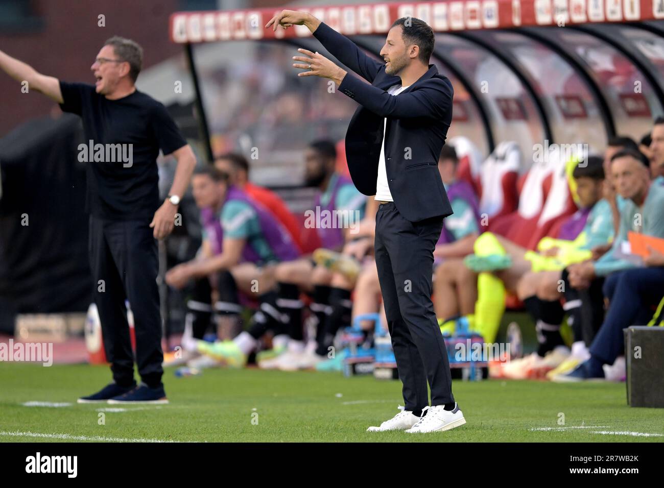 BRUSSELS - Belgium trainer coach Domenico Tedesco during the UEFA EURO ...
