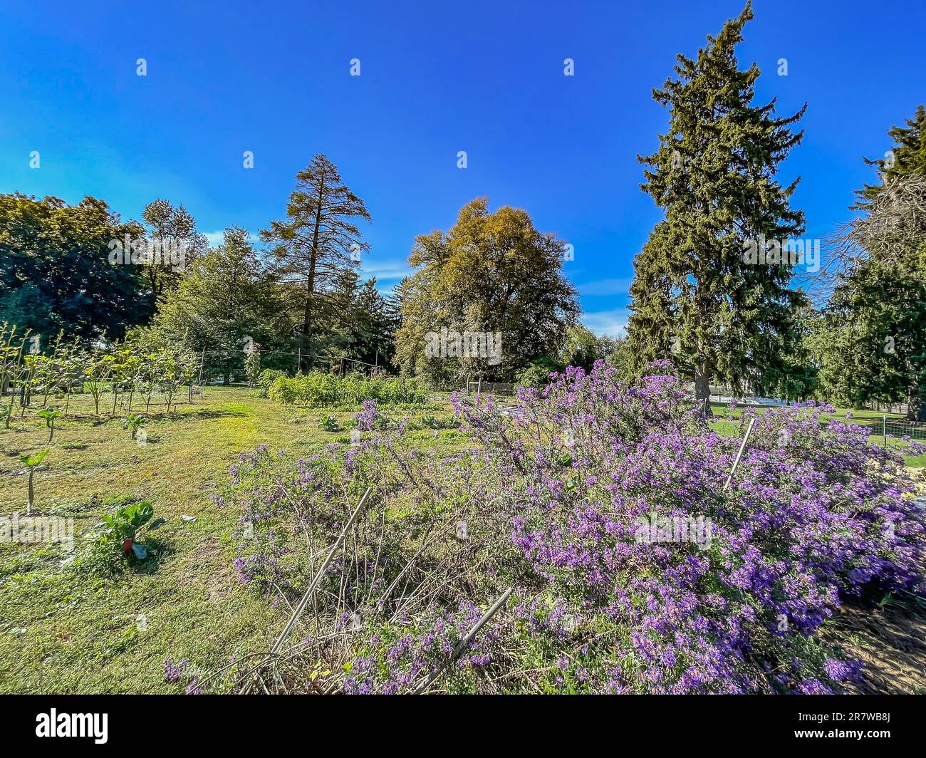 Autumn in pennsylvania york hi-res stock photography and images - Alamy