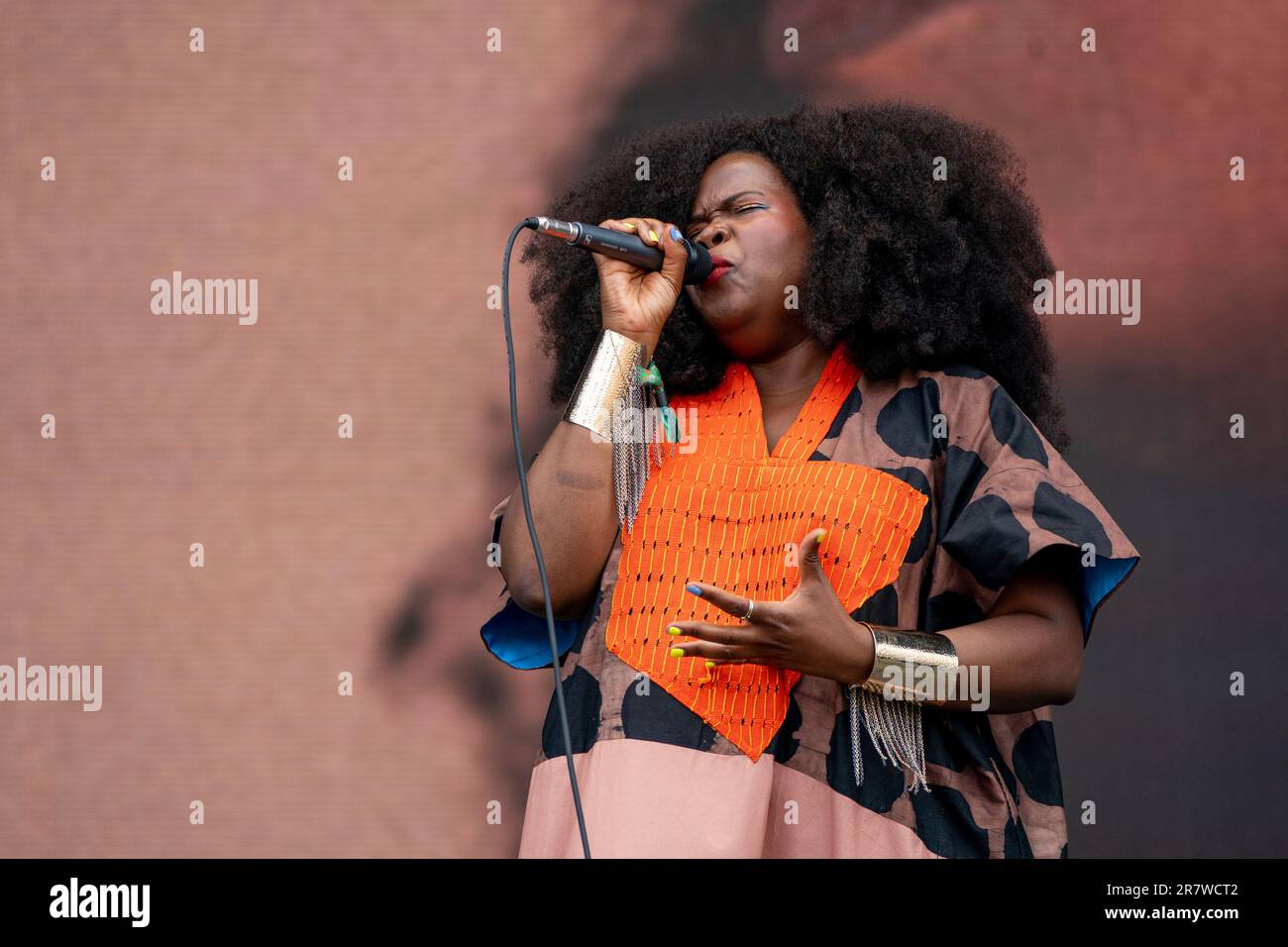 Danielle Ponder performs during the 2023 Bonnaroo Music and Arts ...