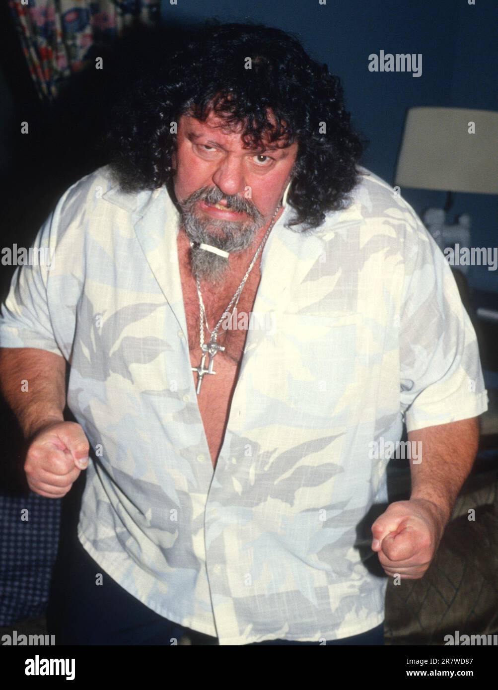 Lou Albano Workaholics
