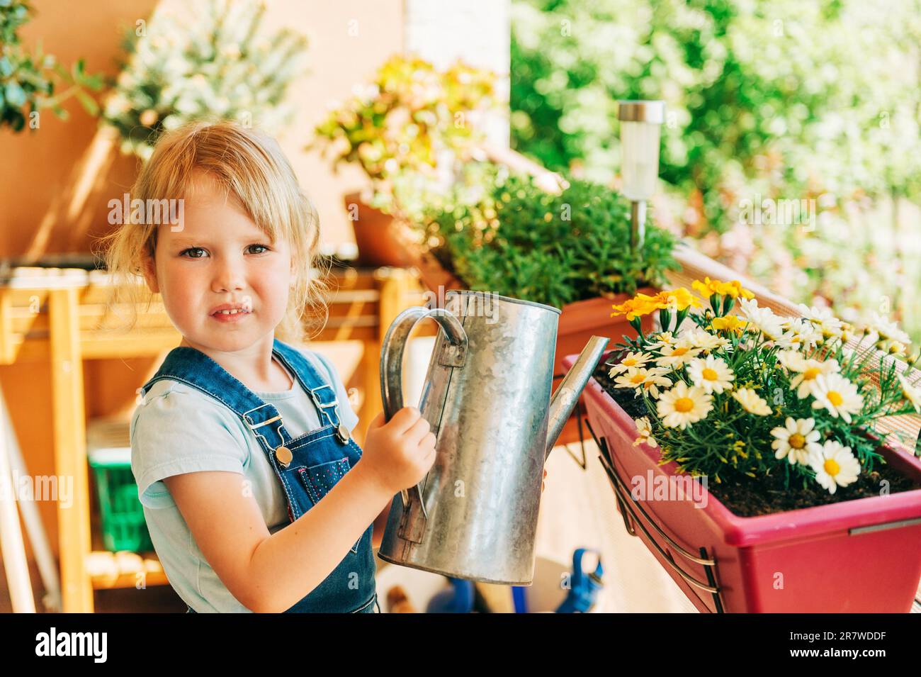 Adorable 3-4 years old kid girl watering yellow daisy flowers on sunny ...