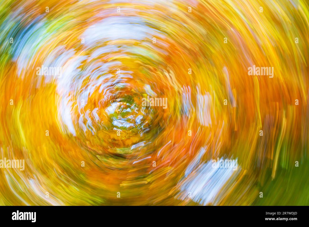 A bold, dramatic abstract swirl of autumn colors with bits of blue sky ...
