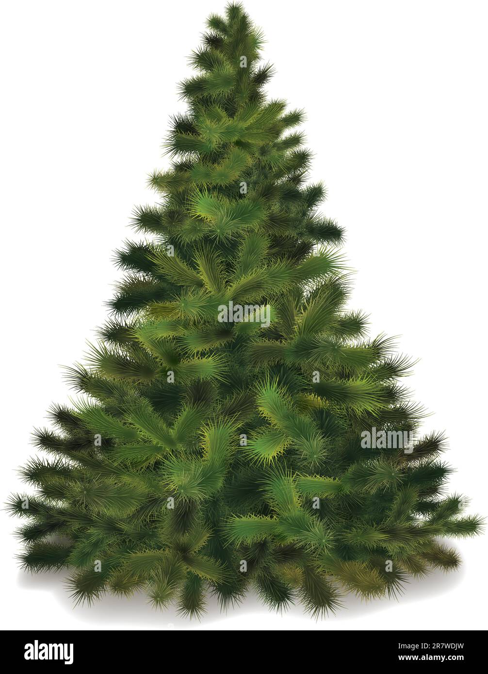 Vector Chritmas tree. Realistic illustration of fluffy pine tree Stock ...