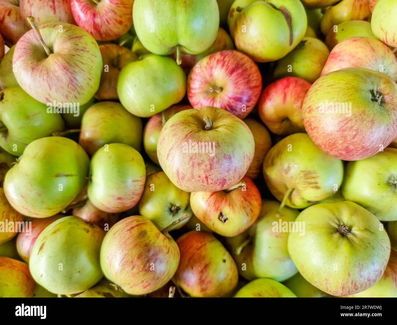 Green apple Raw fruit and vegetable backgrounds overhead perspective ...