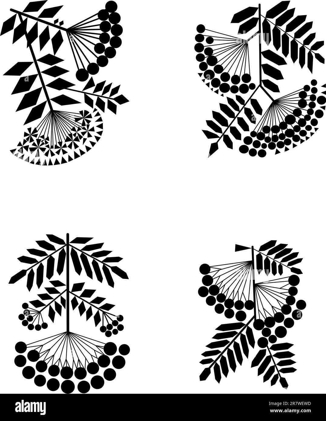 Rowan leaf Black and White Stock Photos & Images - Alamy