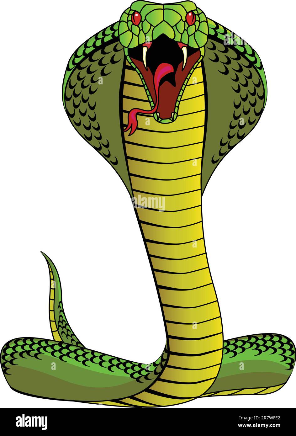 Cobra picture Stock Vector Images - Alamy